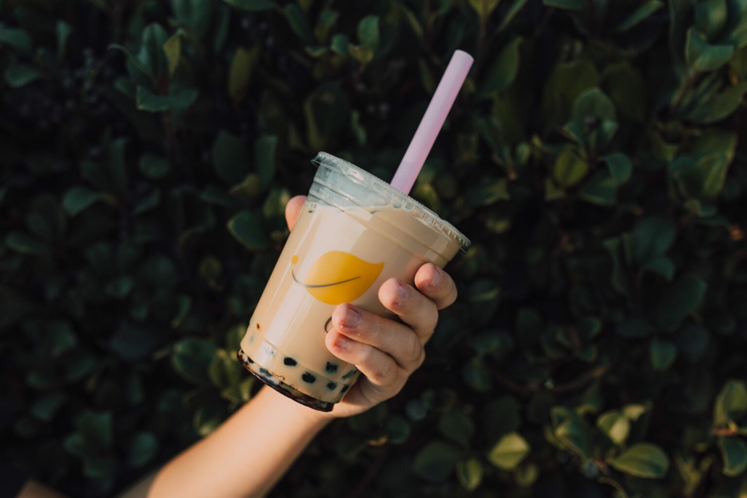 Bubble-Tea kaufen & neue Sorten testen | Bei TeeZyt.ch