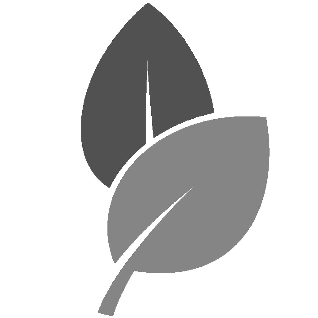 Tee Online Shop mit Schweizer Qualität - TeeZyt.ch